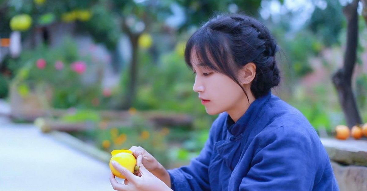 Why Does Li Ziqi Outperform Most Chinese Vloggers on YouTube? - Pandaily