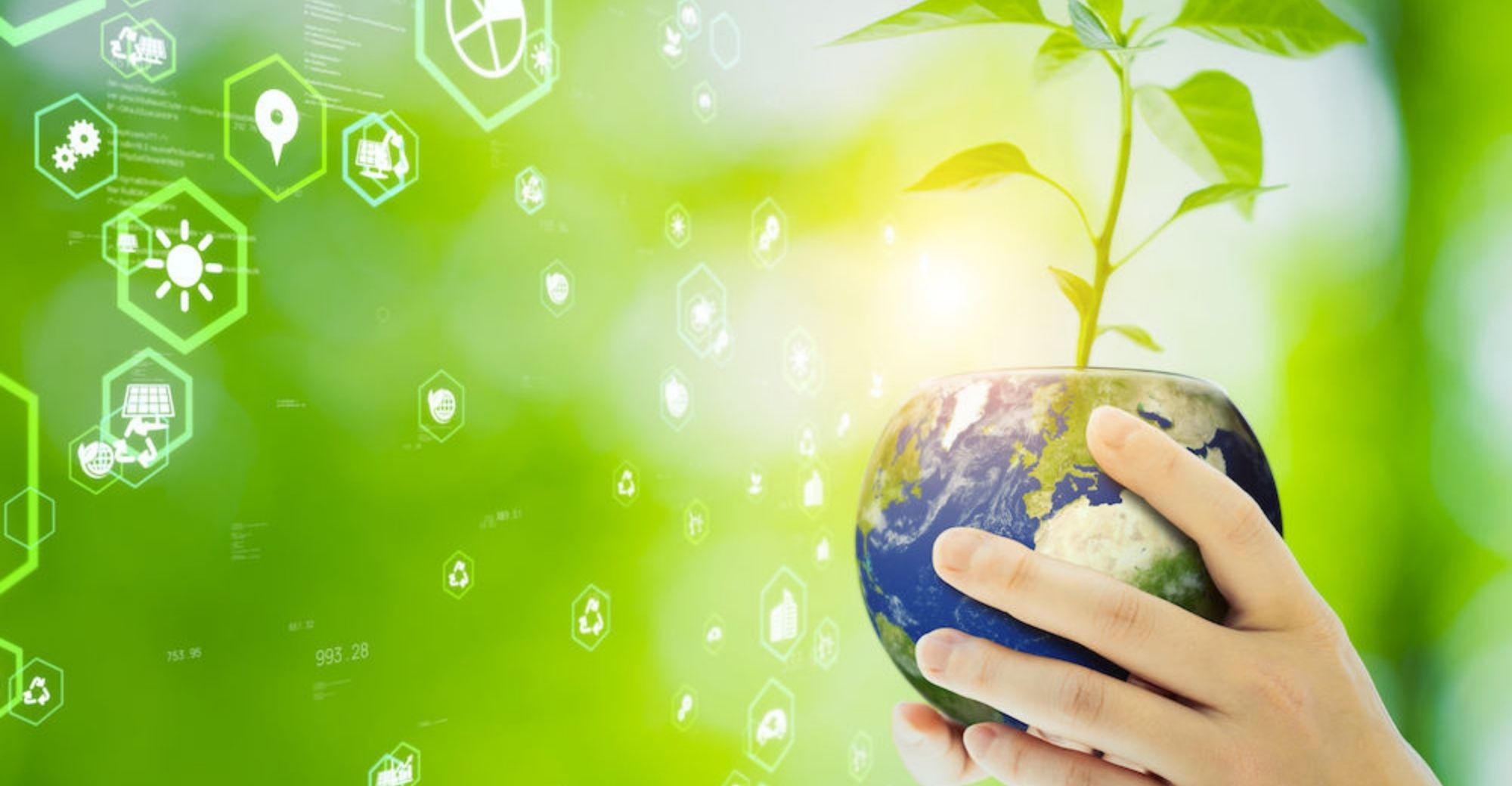 Tmall Supermarket Launches Products Showing Carbon Footprint in QR Code ...