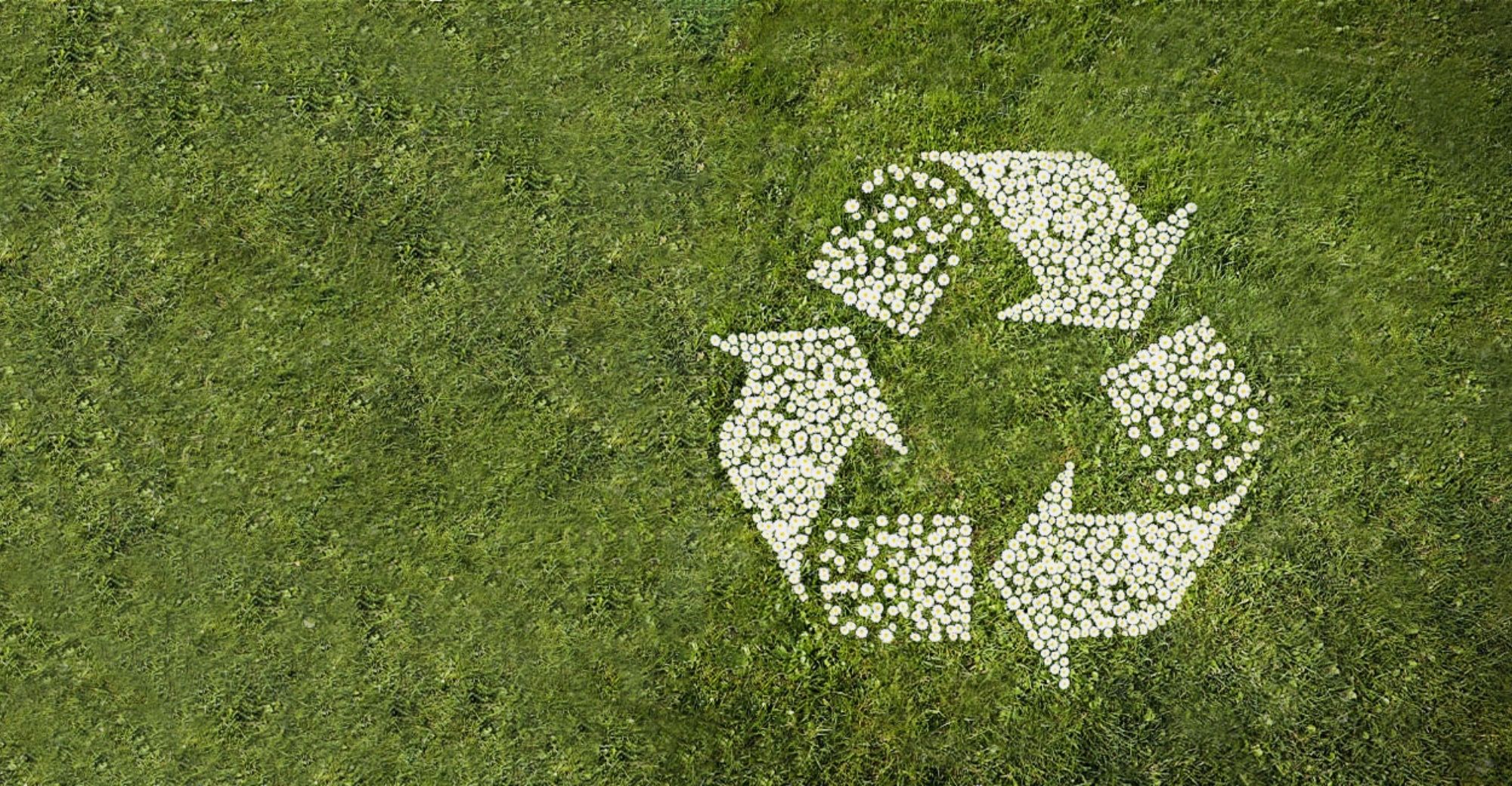 CATL Invests $3.52B in Battery Recycling Base - Pandaily